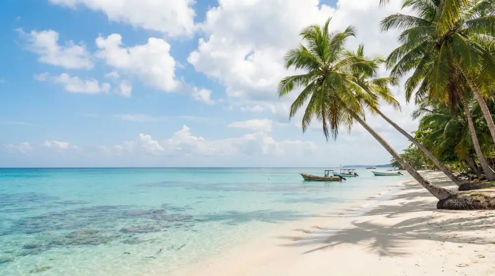 Best Time to Visit Costa Rica 2026: Weather, Wildlife & Secrets